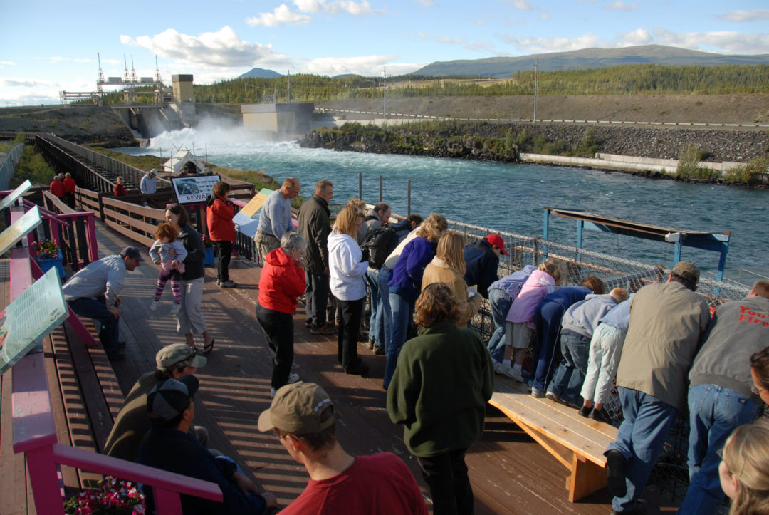 fish ladder, outside viewing area | Whitehorse Tours