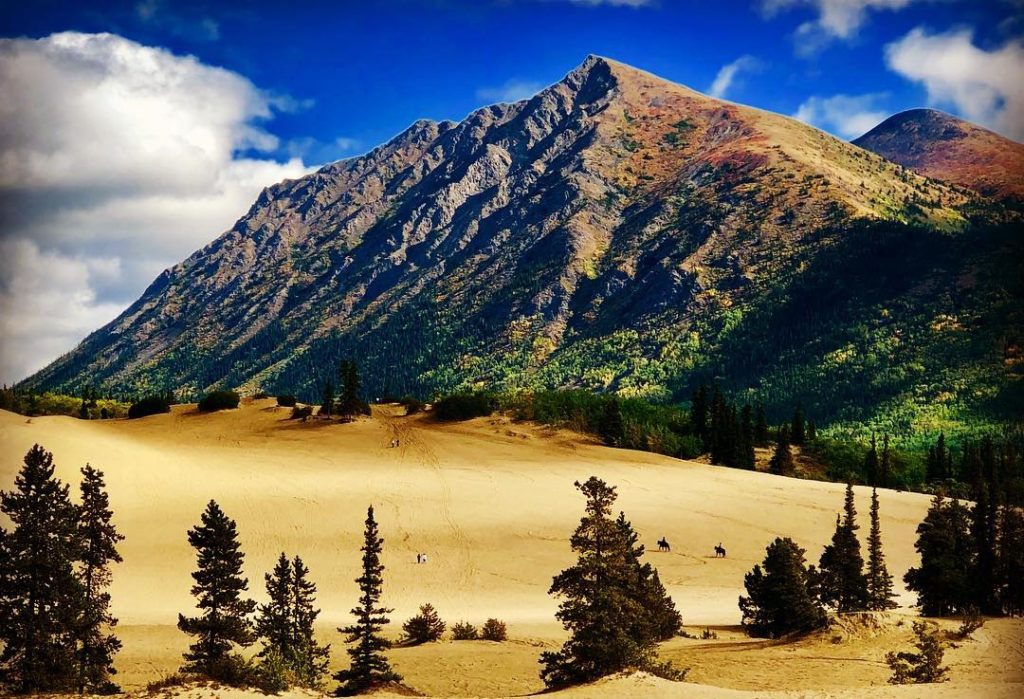 Carcross Desert Header | Whitehorse Tours