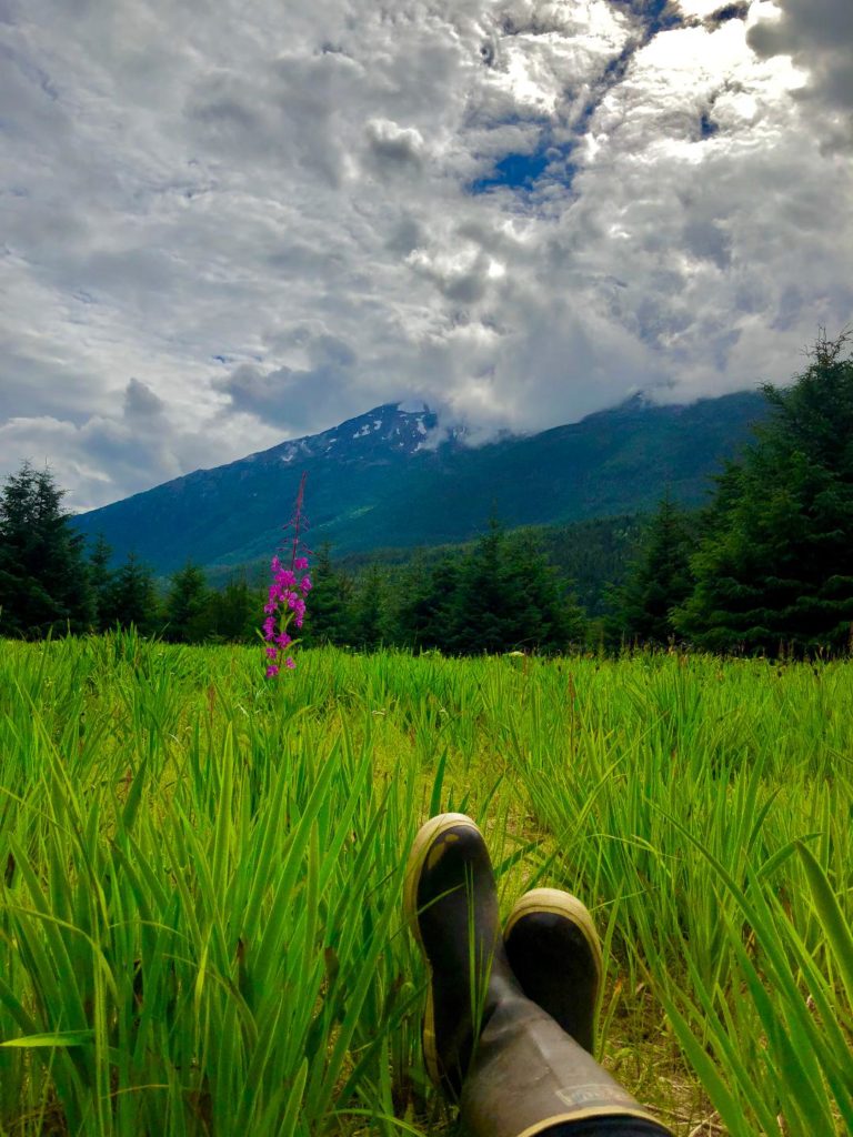 Unique Requests Welcome | Whitehorse Tours
